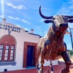 The Big Wave Rock Private Day Tour - Final Thoughts: Is This Tour Right for You?