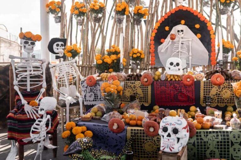 The Day of the Dead Private Tour in Mexico City - Final Thoughts
