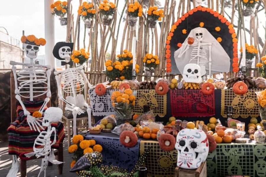 The Day of the Dead Private Tour in Mexico City - Final Thoughts