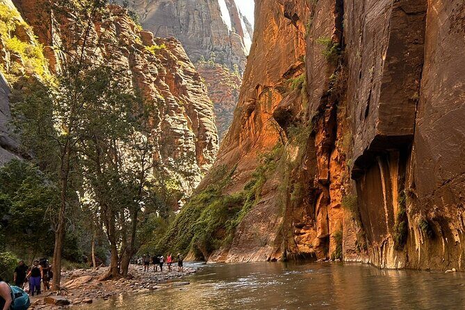 The Famous Narrows Trail in Zion National Park - Why This Tour Is Worth Your Time