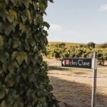 The Florita Wine Tasting Experience - Final Thoughts: Who Should Consider This Tour?