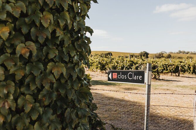 The Florita Wine Tasting Experience - Final Thoughts: Who Should Consider This Tour?