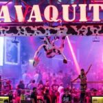 The little cow - The Tour Overview and What You Can Expect