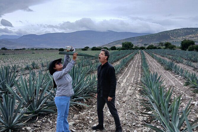 The Mezcal Tour - The Experience’s Best Features