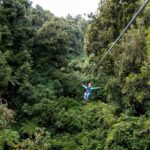 The Original Canopy Zipline Experience Private Tour From Auckland - Why This Tour Offers Great Value