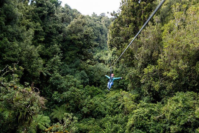 The Original Canopy Zipline Experience Private Tour From Auckland - Why This Tour Offers Great Value