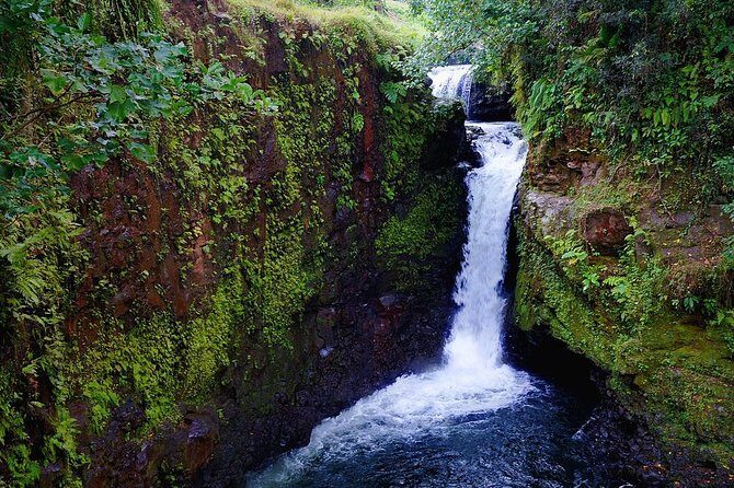 The Pristine Waters of Upolu - What Travelers Are Saying