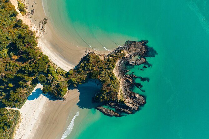 The Seasider - See Otagos Coastline From a New Perspective - The 50-Minute Scenic Trip + Arc Brewery Stop