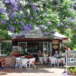 The Tastes of Tamborine Mountain - Potential Drawbacks