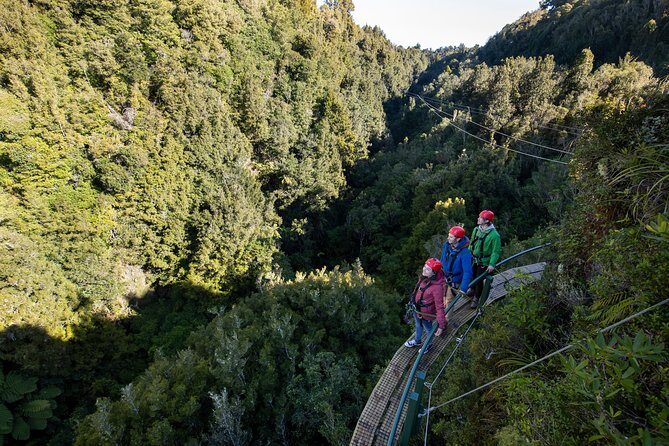 The Ultimate Canopy Zipline Experience Private Tour From Auckland - A Detailed Breakdown of the Tour Experience