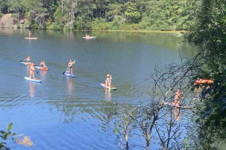Thetis Lake: Paddle Board Tour with Gear Included - The Experience: What You Can Expect