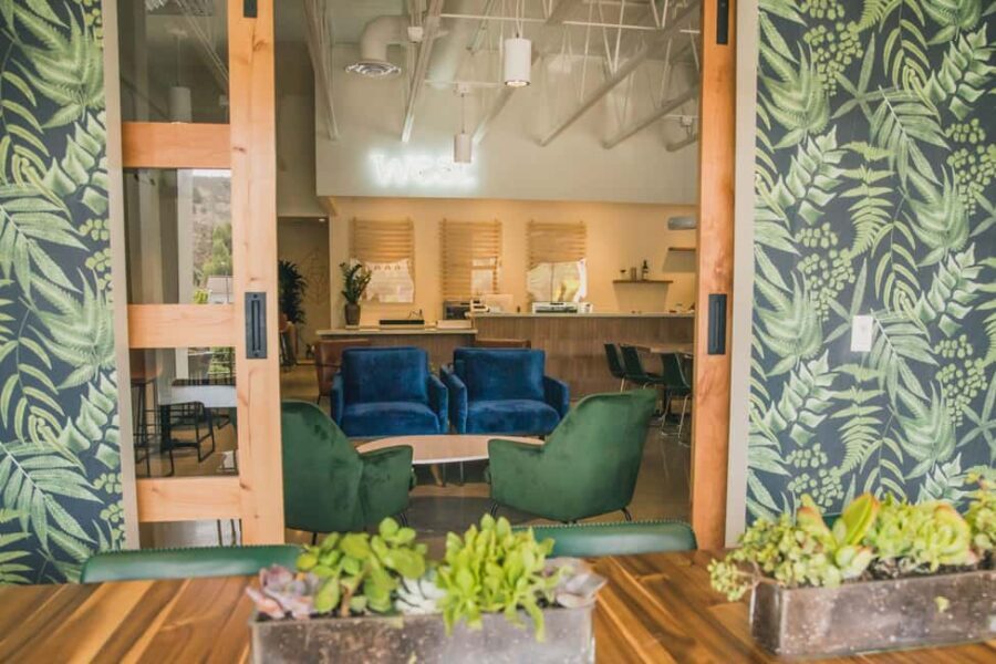 Thousand Oaks: One-Hour, Private Wine Class with Sommelier - The Experience Overview