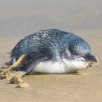 Three Day Classic Kayaking in New Zealand - The Layout and What You Can Expect