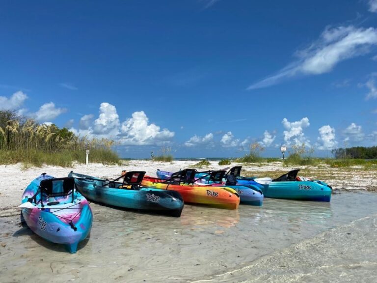 Tierra Verde FL: Coastal Kayaking Tour in Shell Key - Who Will Love This Tour?