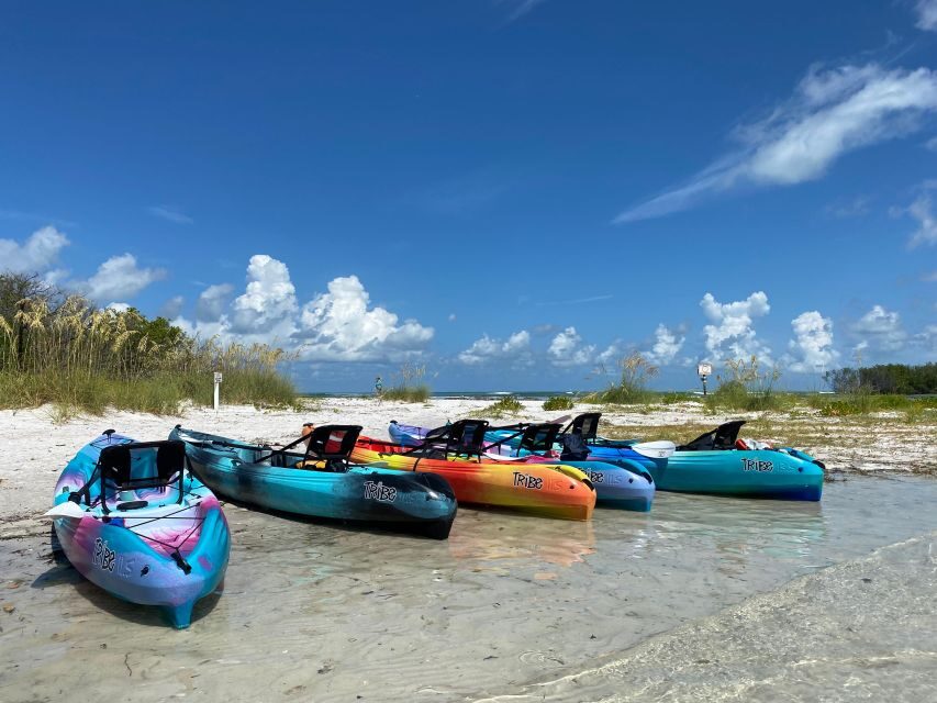 Tierra Verde FL: Coastal Kayaking Tour in Shell Key - Who Will Love This Tour?