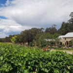 Tintilla Estate: Wine Tasting with a Meat and Cheese Platter - Who Is This Tour Best For?