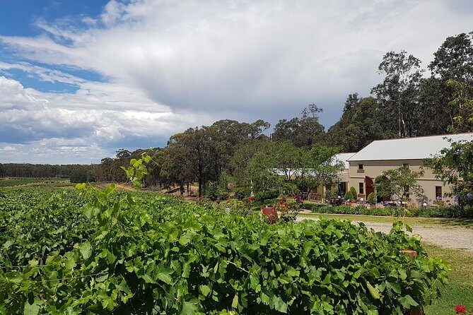Tintilla Estate: Wine Tasting with a Meat and Cheese Platter - Who Is This Tour Best For?