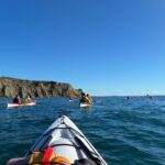 Tiritiri Matangi Sea Kayak Tour - Why Choose This Tour?