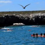 Title: Puerto Vallarta: Marietas Island Adventure - The Itinerary: What to Expect Step-by-Step