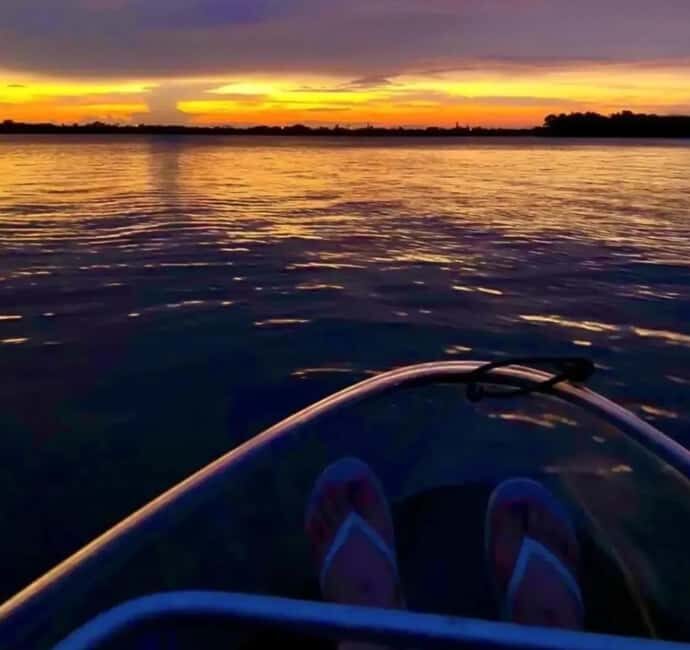 Titusville: Bioluminescent Clear Kayak Tour - What to Expect from the Tour