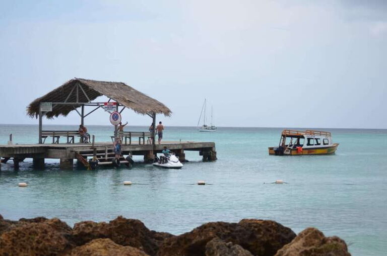Tobago: Buccoo Reef Glass Bottom Boat Tour - Why We Love This Tour
