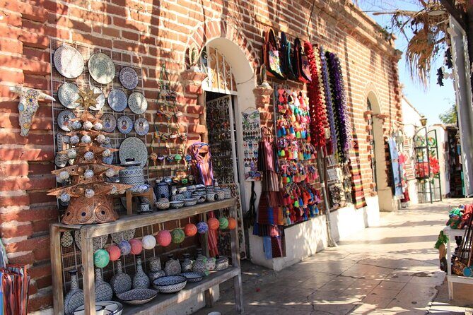 Todos Santos Day Trip from Cabo on Art History and Culinary - Who Will Enjoy This Tour?