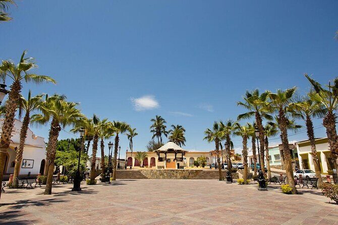 Todos Santos Private 6 hrs 1-08 paxs - FAQs