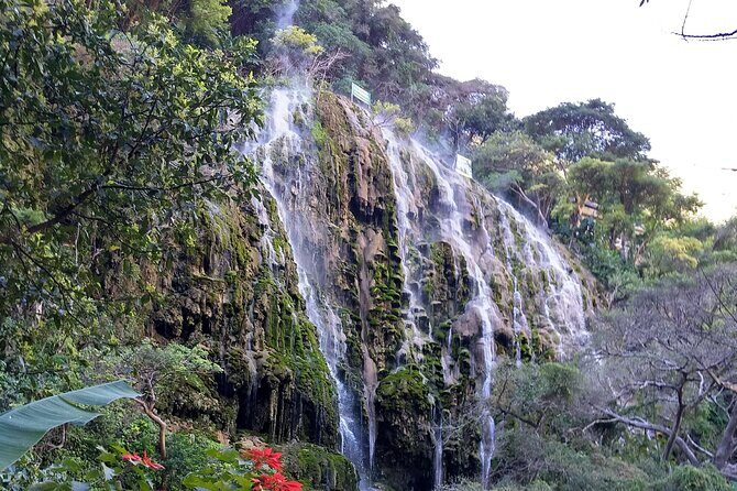 Tolantongo Caves Full Day from Mexico City - Authentic Review Snippets: What Real Travelers Say