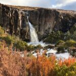 Tongariro National Park: Pre-Sunset Guided Walking Tour - Practical Details and What to Bring