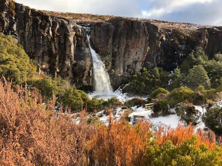 Tongariro National Park: Pre-Sunset Guided Walking Tour - Practical Details and What to Bring