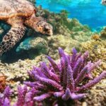 Top Snorkeling Experience in Puerto Morelos Reef - What Youll Experience on the Tour