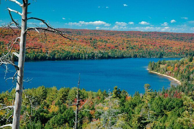 Toronto 4 Day Small Group Tour - Transportation and Group Dynamics