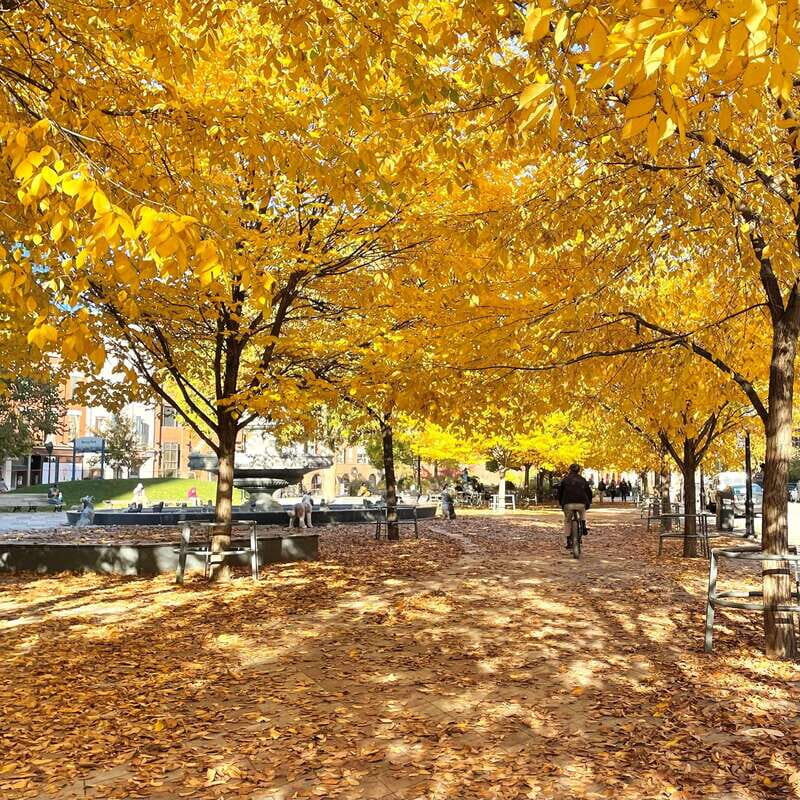 Toronto: City Walking Tour - The Practicalities