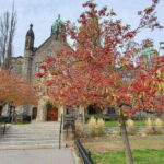 Toronto: Highlights Drive and Walking Tour - What You Can Expect During the Tour