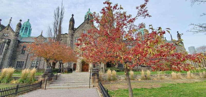 Toronto: Highlights Drive and Walking Tour - What You Can Expect During the Tour