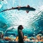 Toronto, Niagara Falls & Thousand Islands VIP 2Day Trip - Authentic Experiences from Fellow Travelers