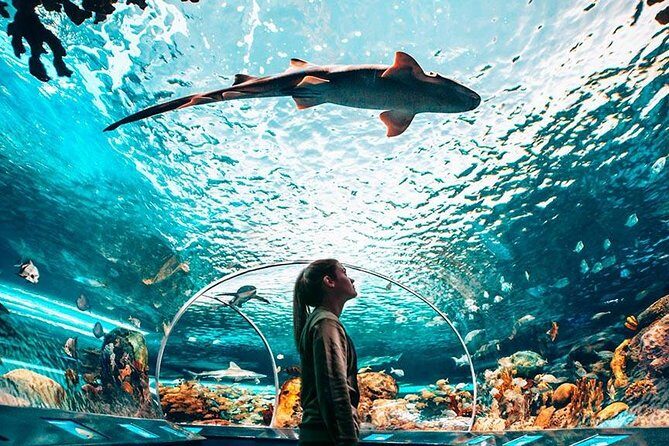 Toronto, Niagara Falls & Thousand Islands VIP 2Day Trip - Authentic Experiences from Fellow Travelers