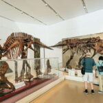 Toronto: Royal Ontario Museum Admission Ticket - Who Will Love This Experience?