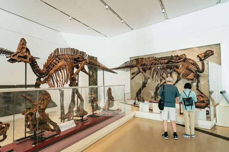 Toronto: Royal Ontario Museum Admission Ticket - Who Will Love This Experience?