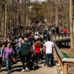 Toronto: Toronto Zoo Entry Ticket - Practicalities: Cost, Accessibility, and Tips