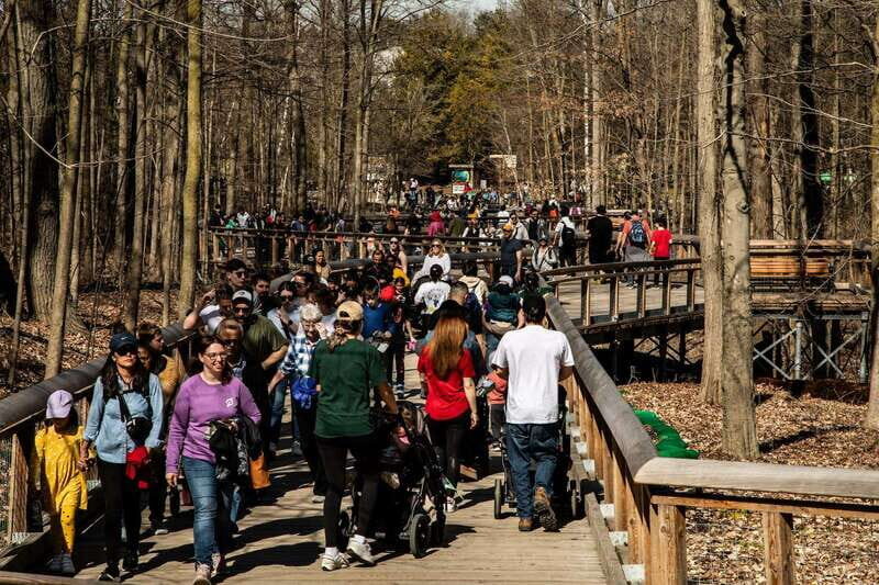 Toronto: Toronto Zoo Entry Ticket - Practicalities: Cost, Accessibility, and Tips