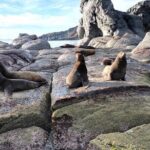 Tour a la Isla Coronados con actividad de esnorquel - Authentic Experiences from Reviews