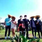 Tour de Pulque en Tepotzotlán, Pueblo Mágico - FAQ