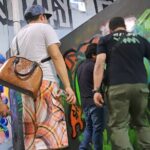 Tour Evolution of Muralism paints your Grafiti - Why This Tour Offers Great Value