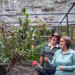 Tour from Eden to Merimbula Wetlands Wildlife and Coastline - Practical Details and Value