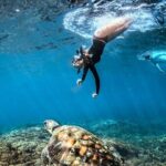 Tour Full Day Guided Huatulco Bays + Pickup + Refreshments + Gift !! - Who Would Love This Tour?