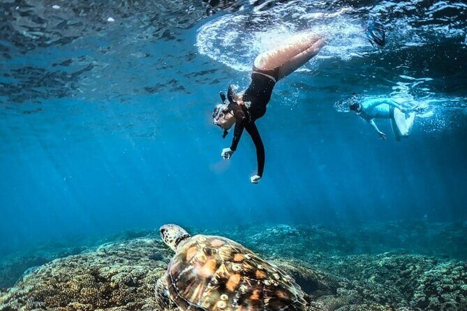 Tour Full Day Guided Huatulco Bays + Pickup + Refreshments + Gift !! - Who Would Love This Tour?