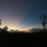 Tour Herpetologico - FAQs