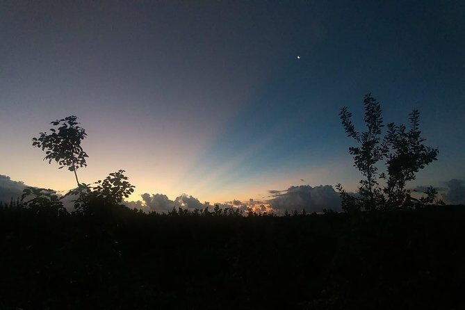 Tour Herpetologico - FAQs