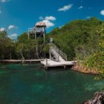 Tour Holbox - Magic Island! Round Transportation from Tulum - Authentic Insights from Past Travelers